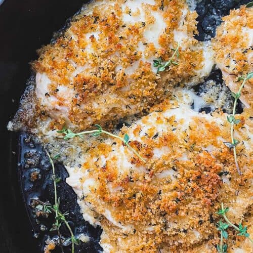 Baked Creamy Cheesy Chicken Breasts • Sip + Sanity