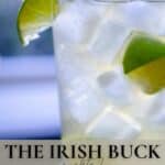 The Irish Buck (Whiskey Ginger Cocktail) • Sip + Sanity